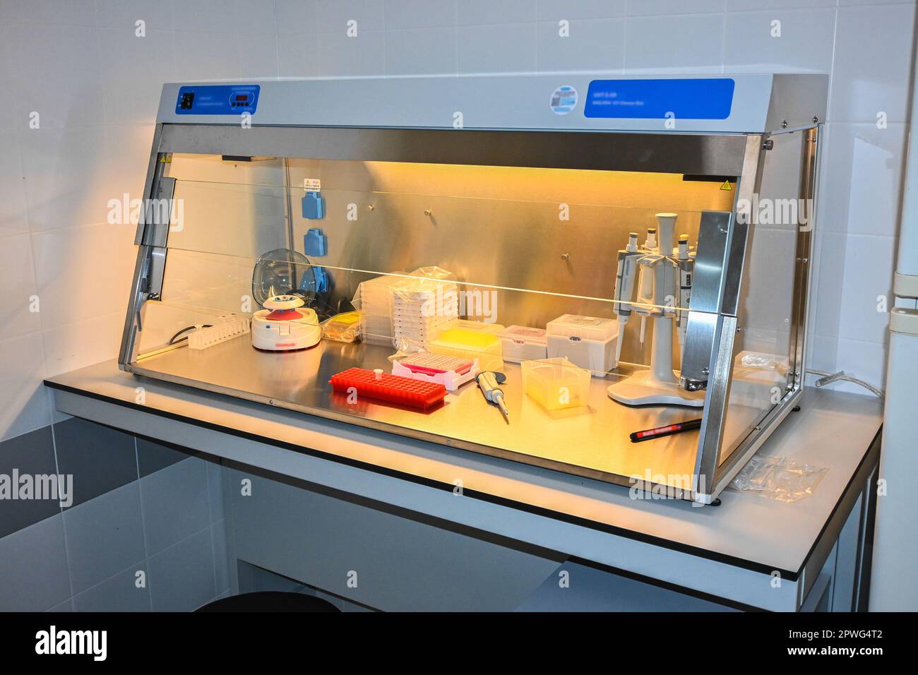 Work in a laminar box. Laboratory equipment for the study of cell ...