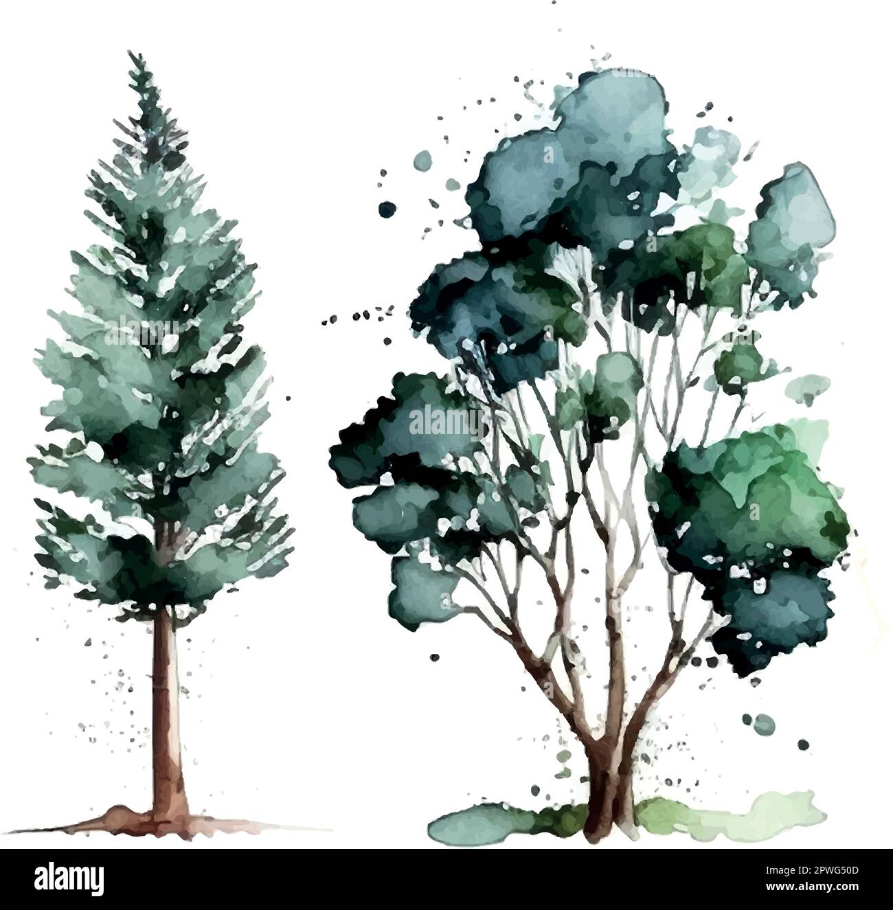 Watercolor tree hand draw vector nature painting Stock Vector Image ...