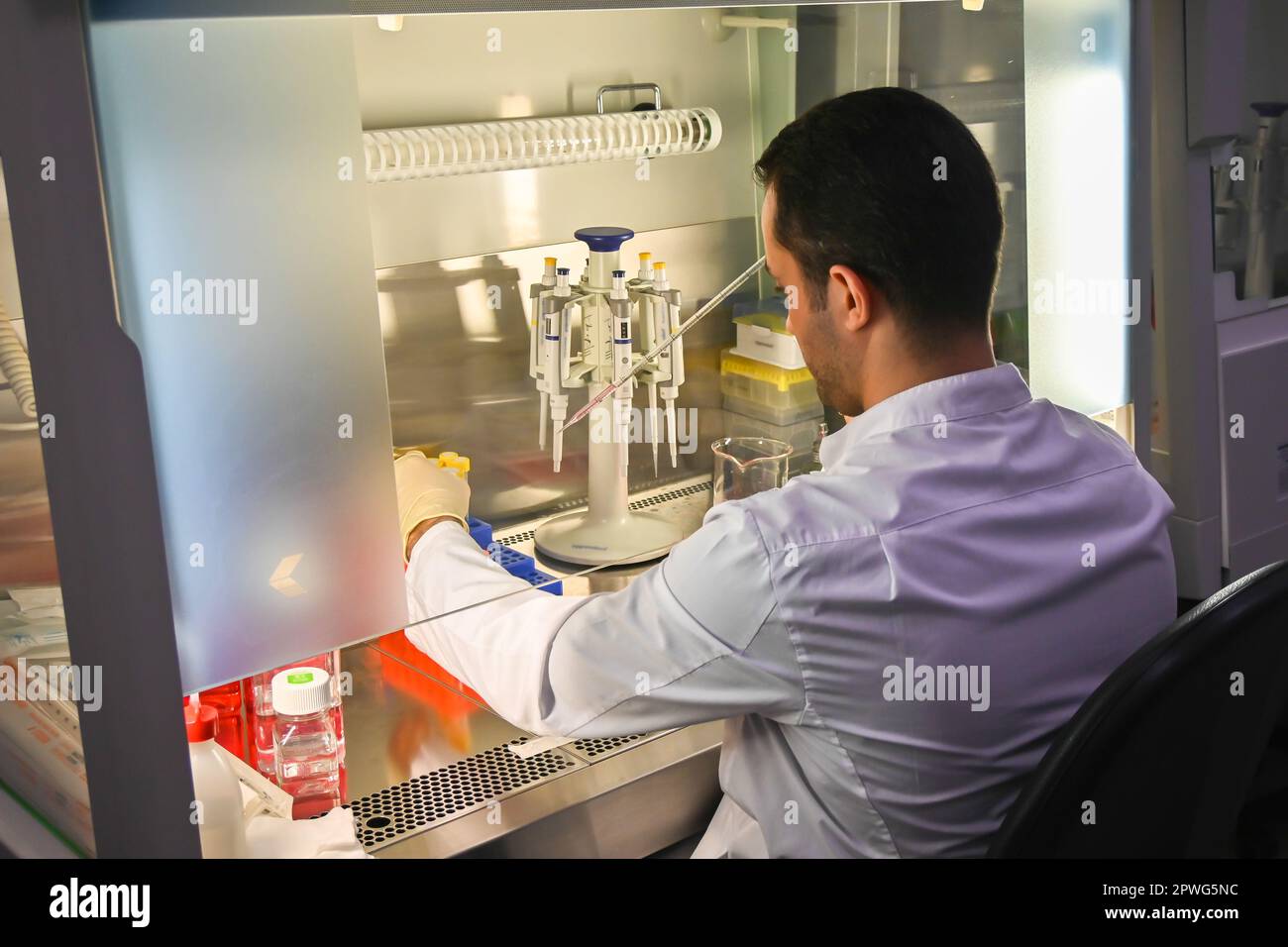 Work in a laminar box. Laboratory equipment for the study of cell ...