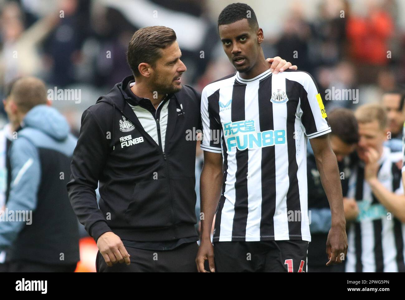 Newcastle united assistant manager jason tindall hi-res stock ...