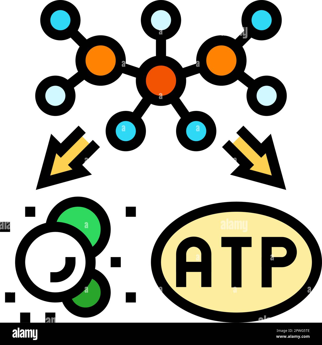 Catabolism Biochemistry Color Icon Vector Illustration Stock Vector Image And Art Alamy