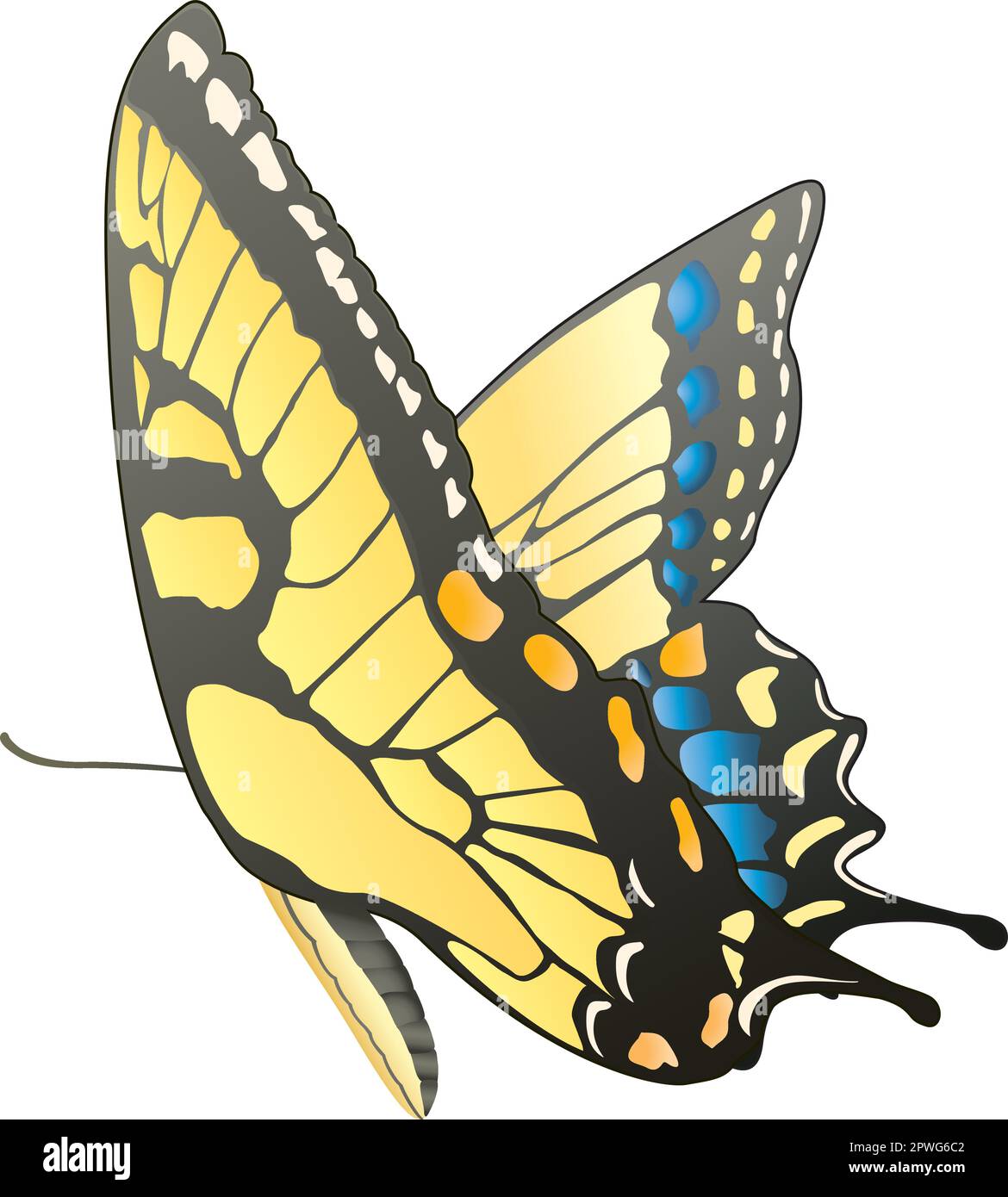 Butterfly (Tiger Swallowtail) An Adobe Illustrator file saved as ...