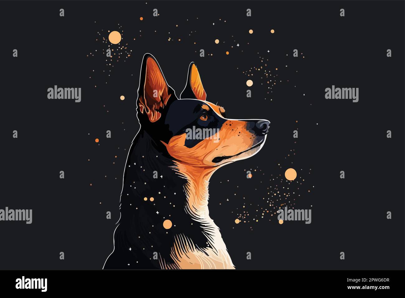 Doge Galaxy