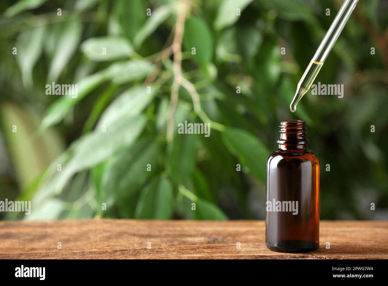 Essential oil dripping from pipette into bottle on wooden table, space ...