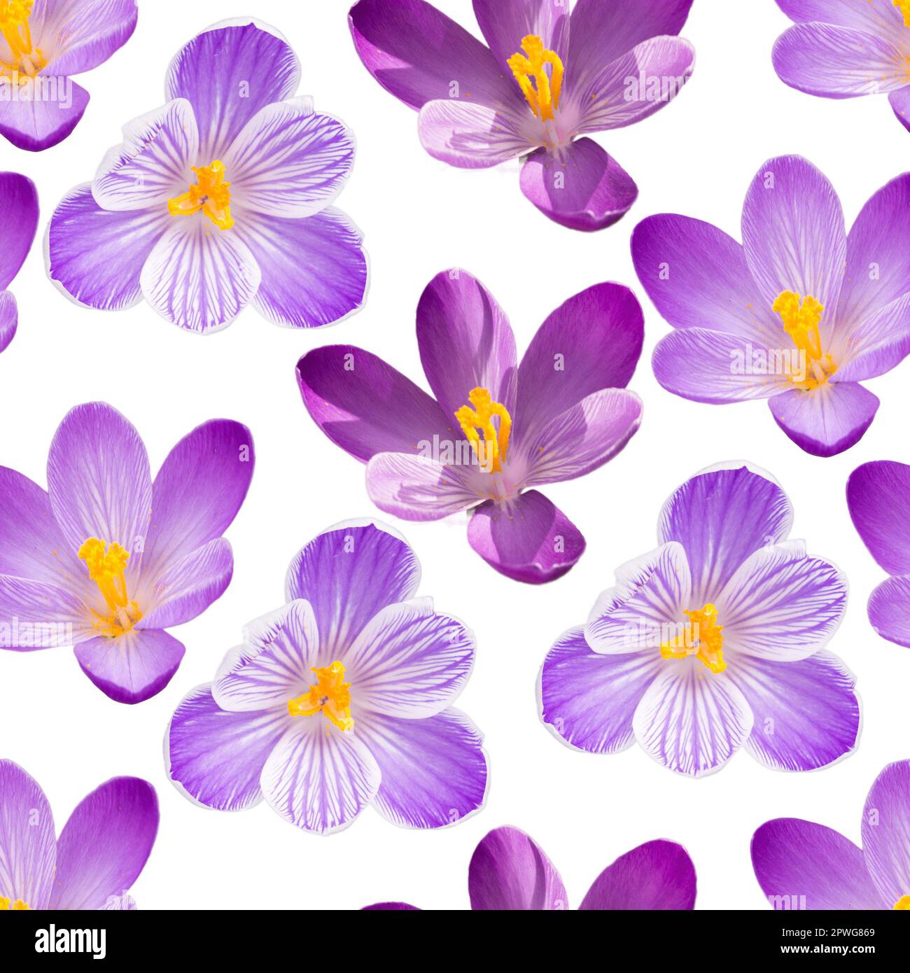 Seamless pattern of blooming spring hi-res stock photography and images ...