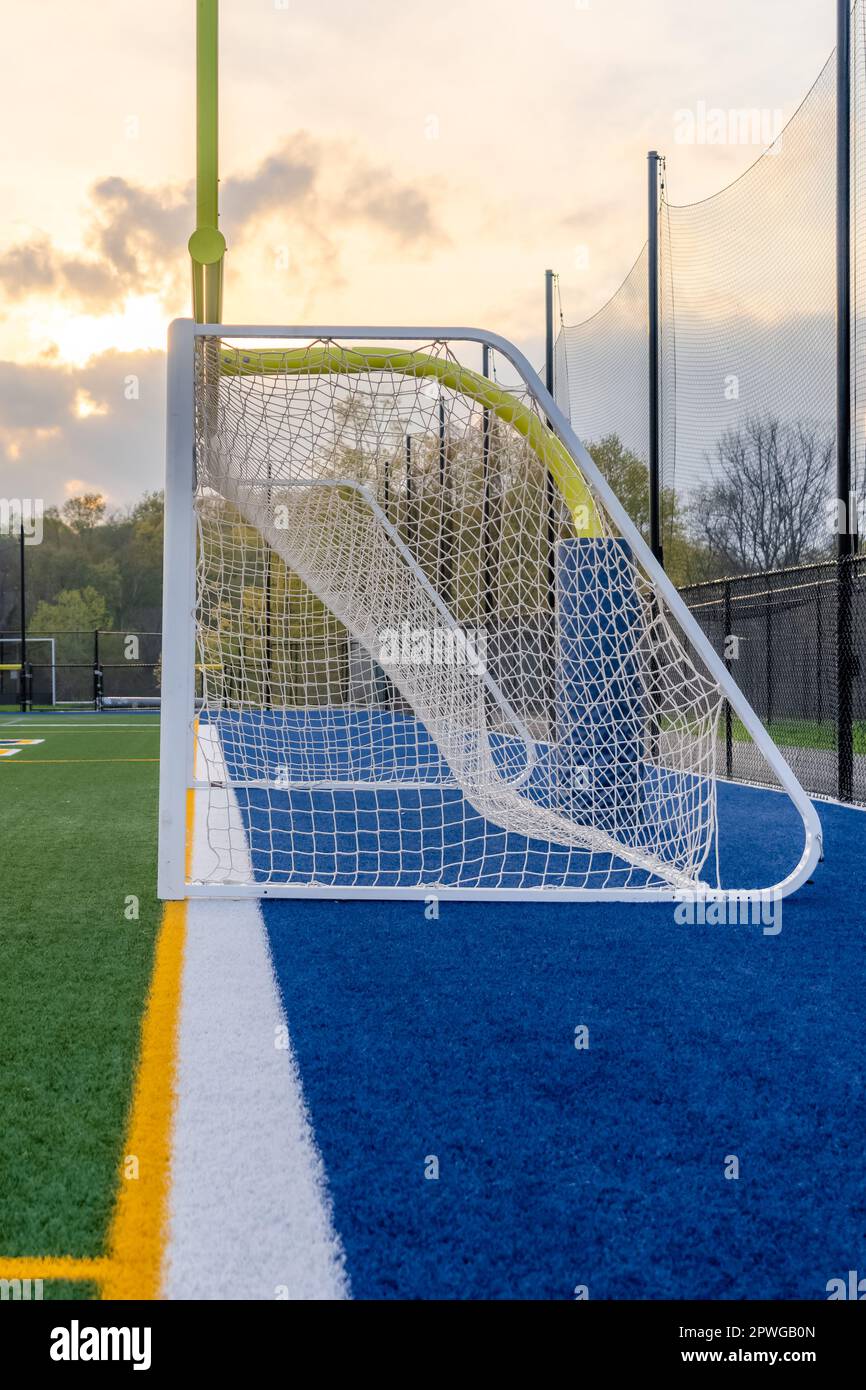 Football Field At Night Vertical