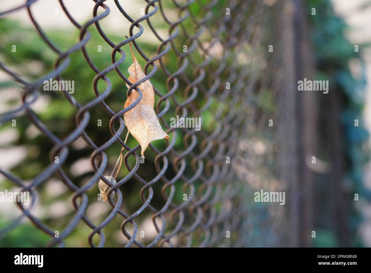 Wire mesh fencing hi-res stock photography and images - Alamy