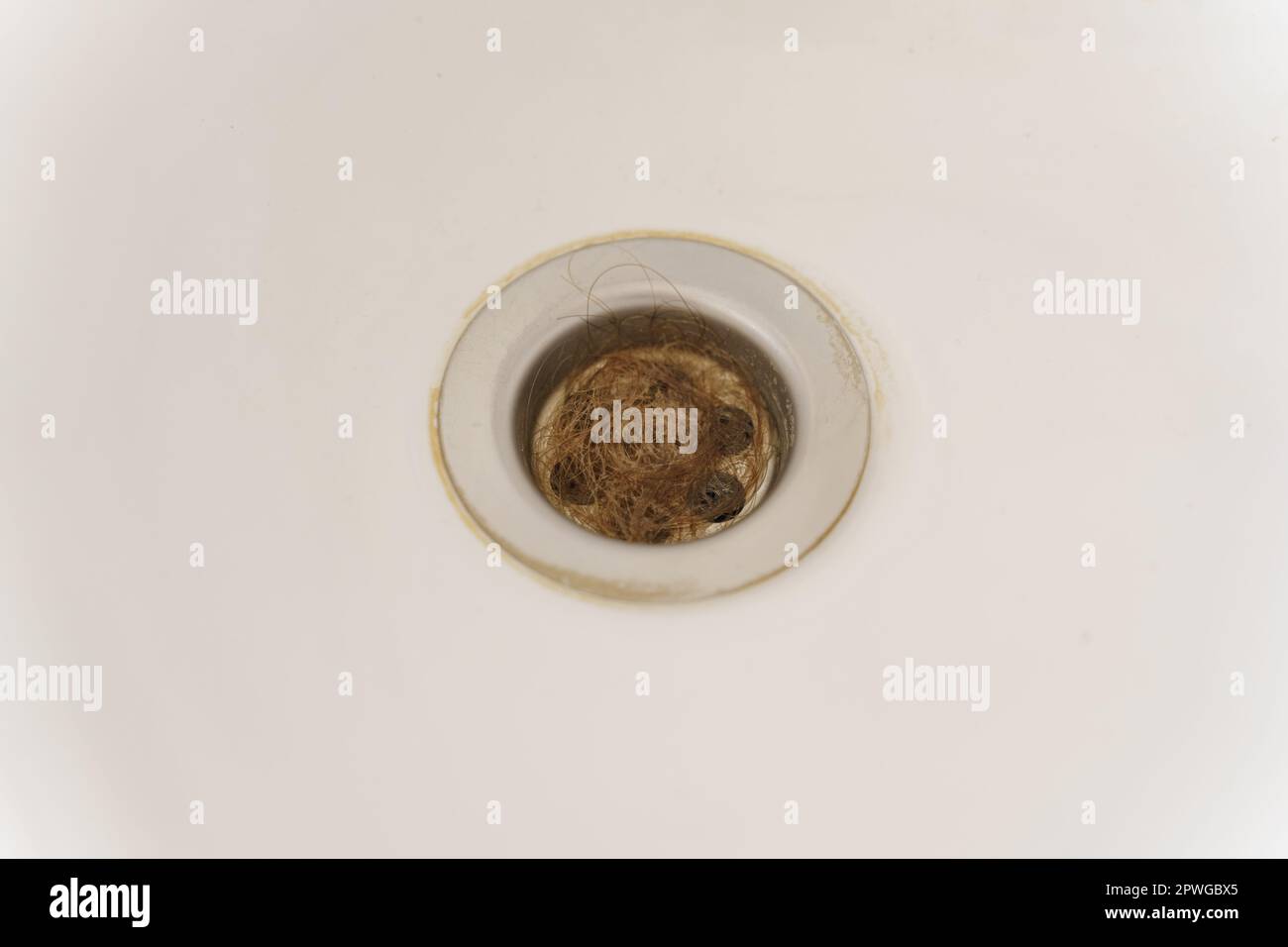 Hair shower drain hi-res stock photography and images - Alamy