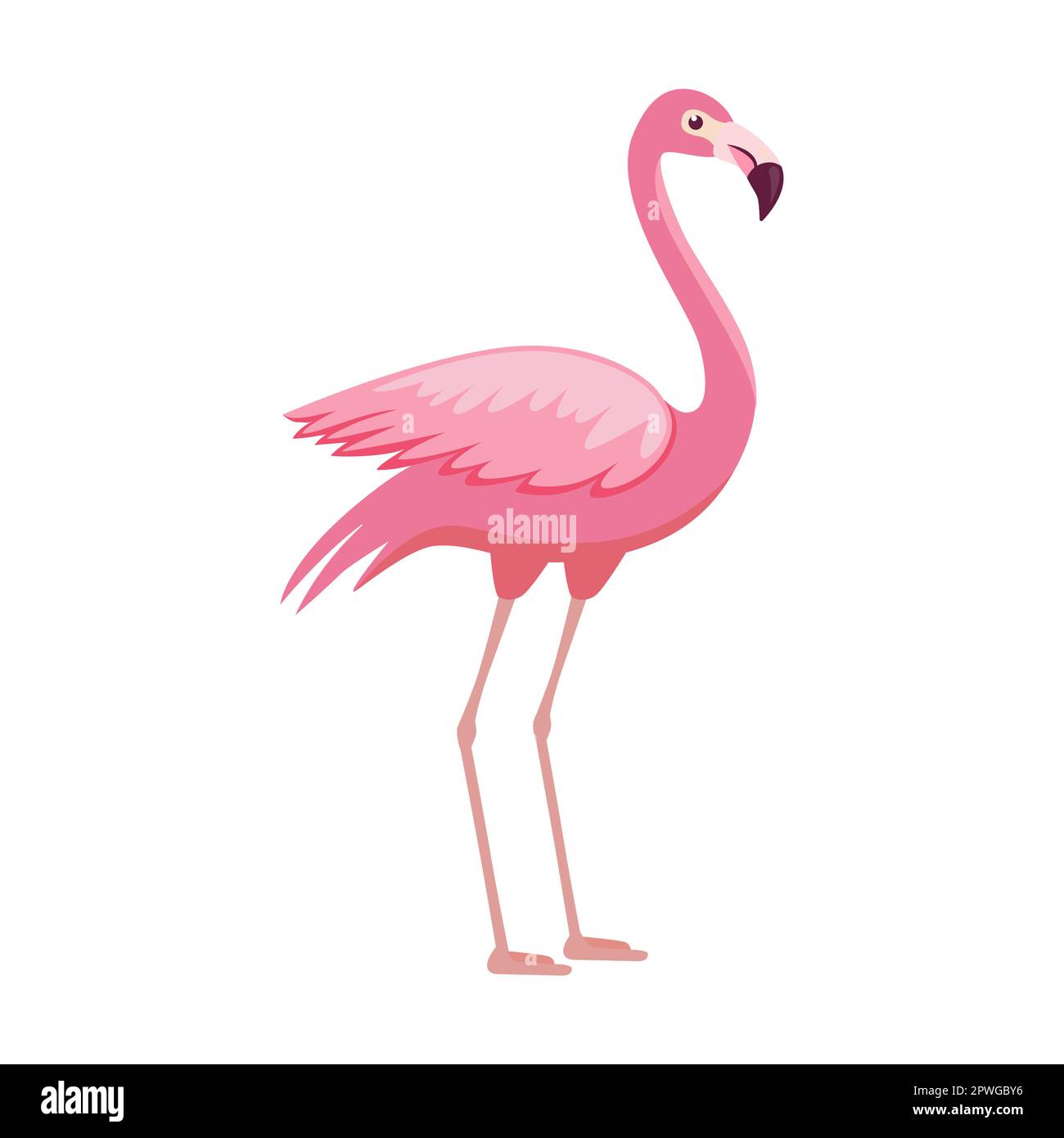 Beautiful pink bird standing. Flamingo cartoon illustration. Side view ...
