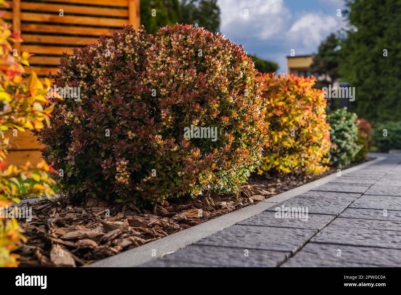Colourful Decorative Front Yard Plants Along Concrete Bricks Path ...