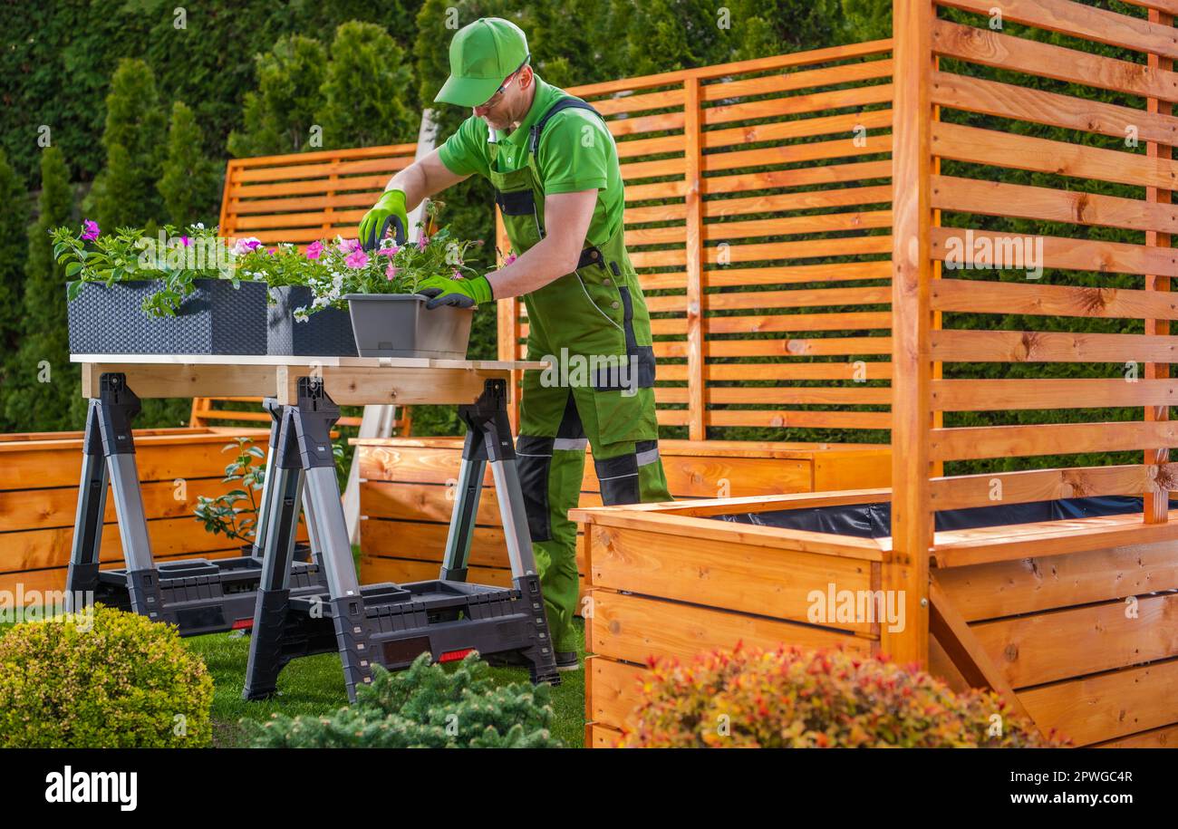 Caucasian Professional Gardener in His 40s Preparing Flower Pots and ...