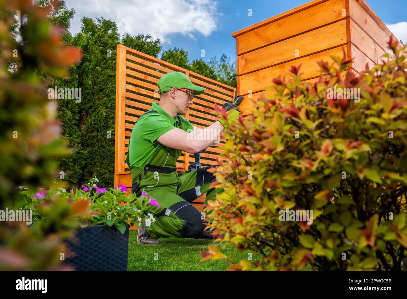 Caucasian Man Building Large Wood Made Planter. Attaching Final Planks ...