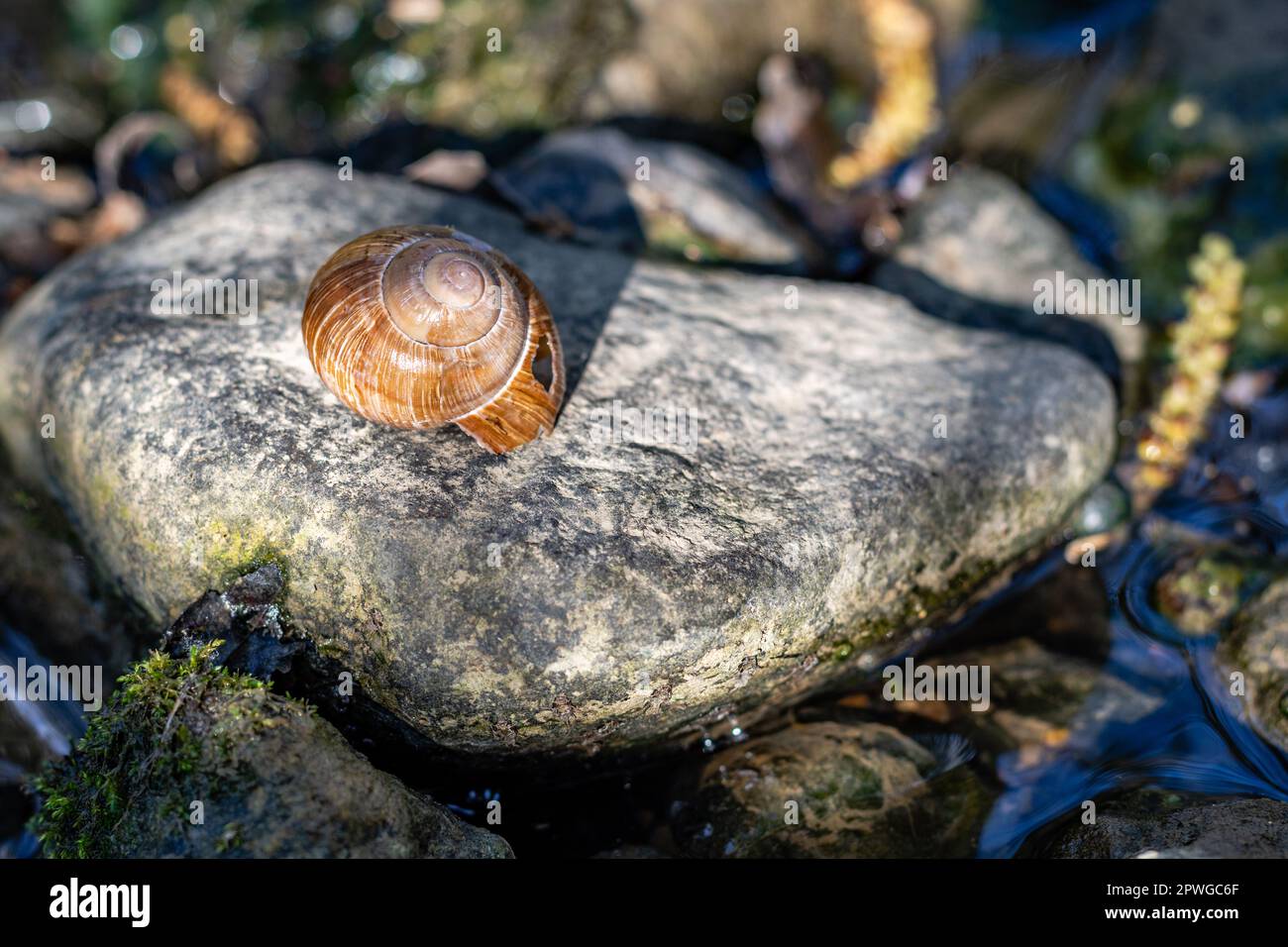 Empty shell house hi-res stock photography and images - Alamy
