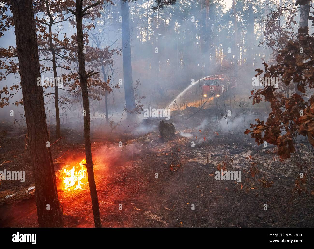 Water cannon of a fire engine shooting a high-velocity stream of water ...