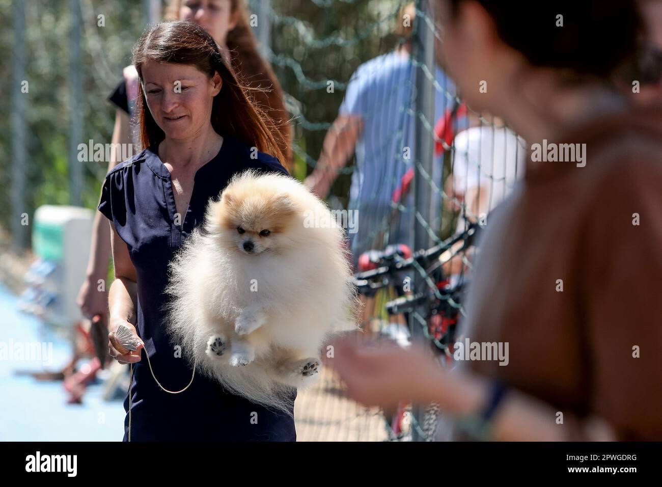 Zaton, Croatia. 30th Apr, 2023. A dog and its owner attend the 2023 ...