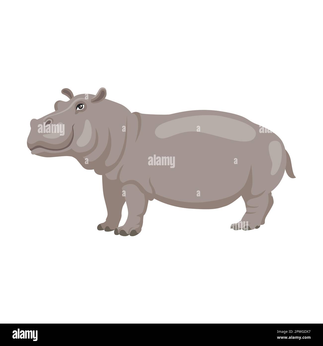 Hippopotamus illustration. African animal sitting, swimming in lake or ...