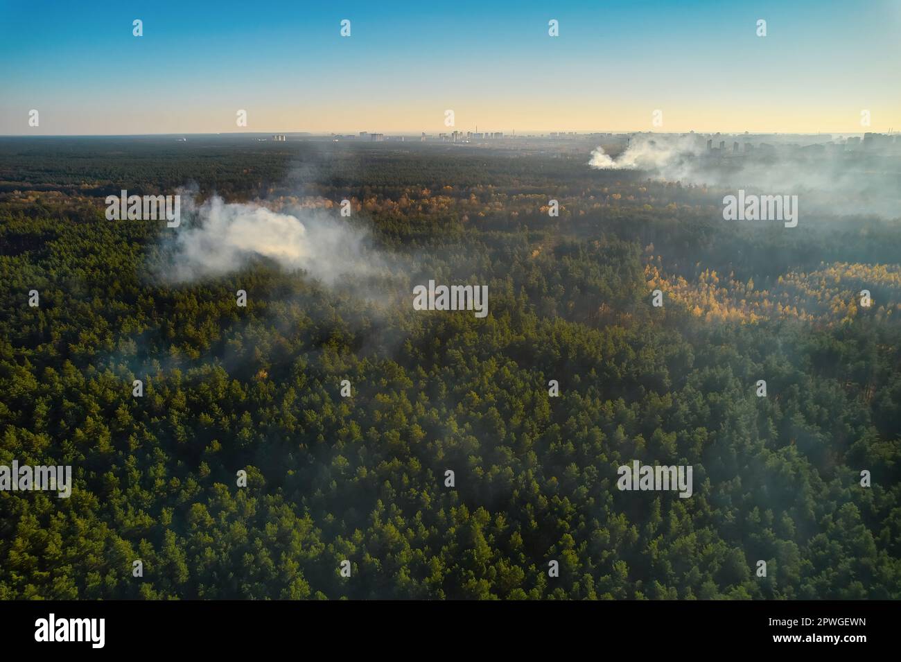 Burning forest with fire and smoke. Forest fire, aerial top view from ...