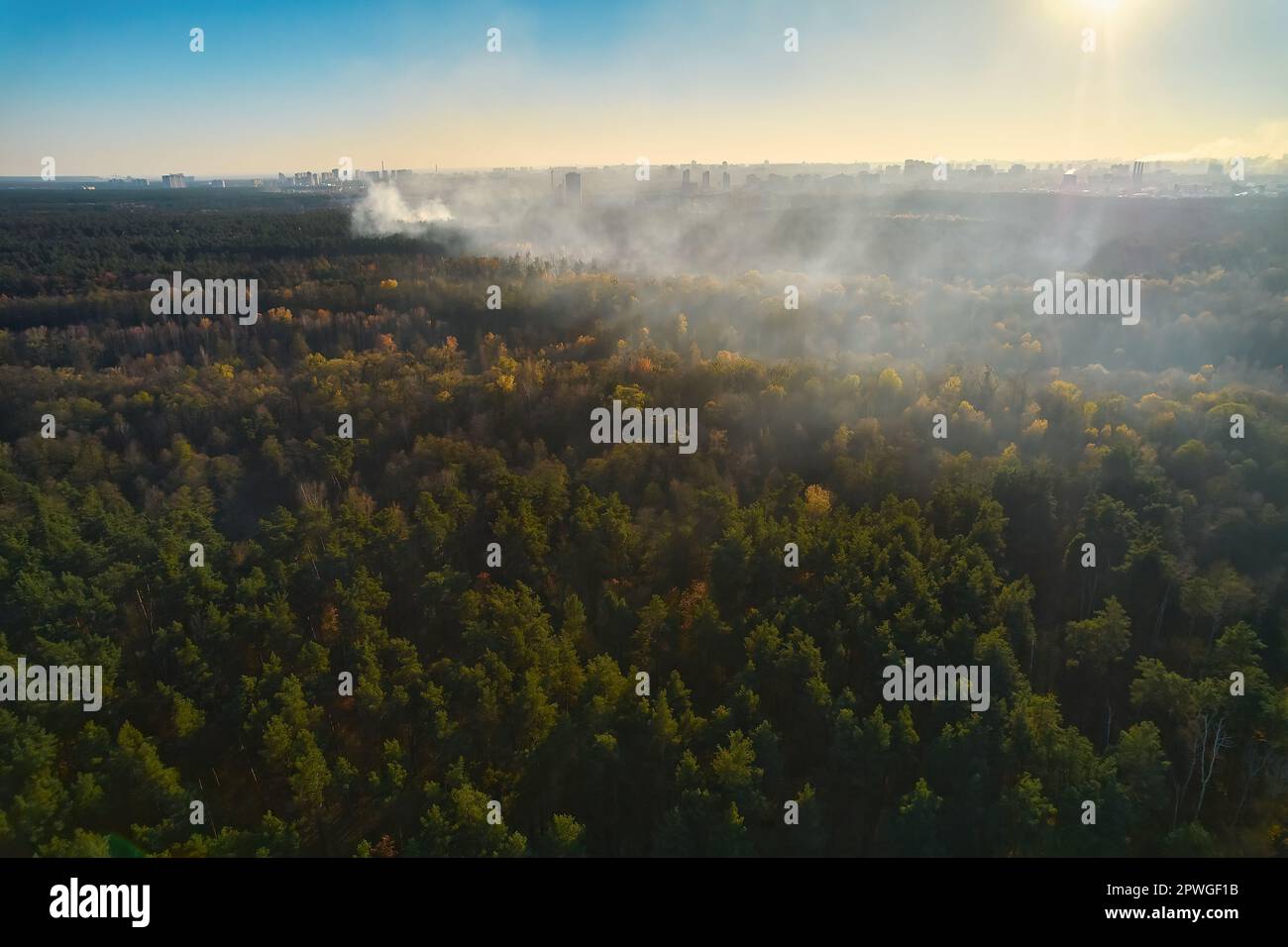 Burning forest with fire and smoke. Forest fire, aerial top view from ...