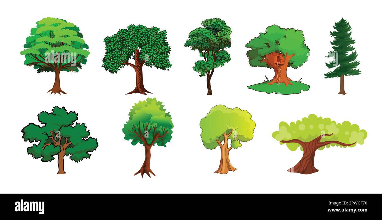 various detailed colorful cartoon trees set collection vector image ...
