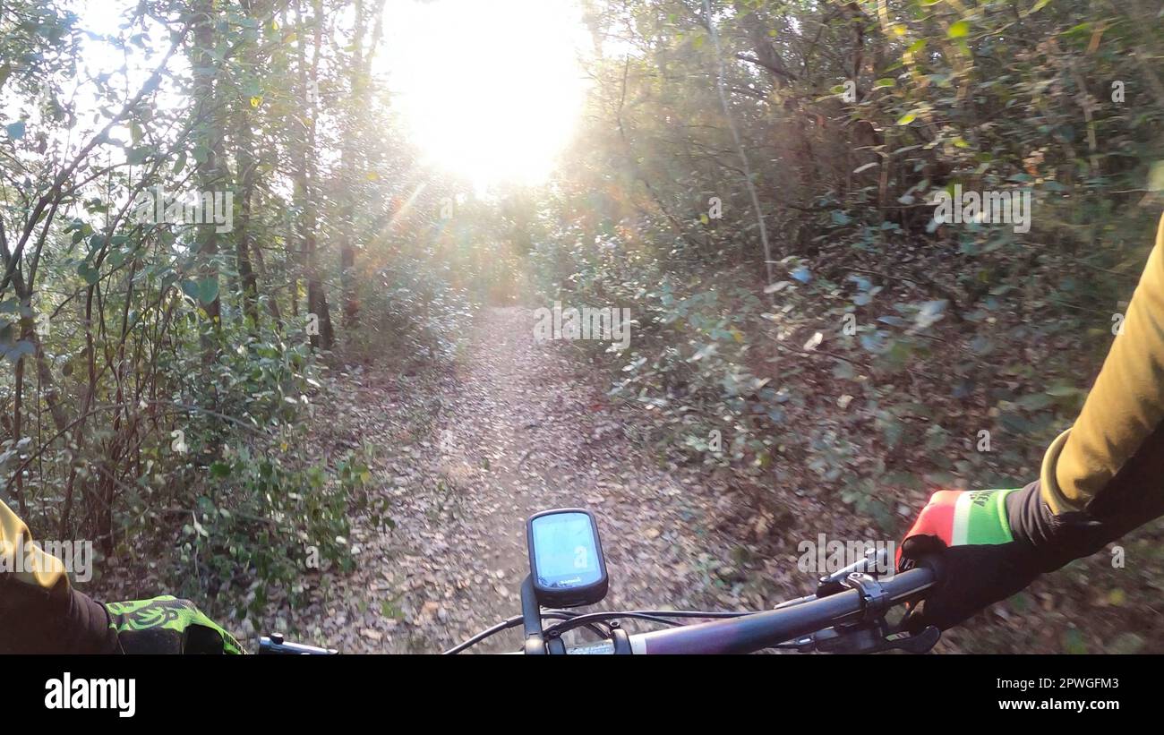 Riding a mountain bike through narrow singletrack trails fom a ...
