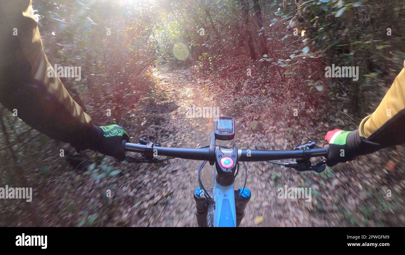 Riding a mountain bike through narrow singletrack trails fom a ...