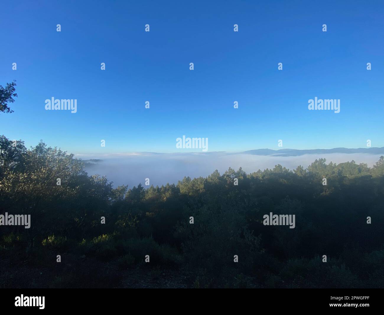 Sun rising on a green landscape forest from the top of a mountain with ...