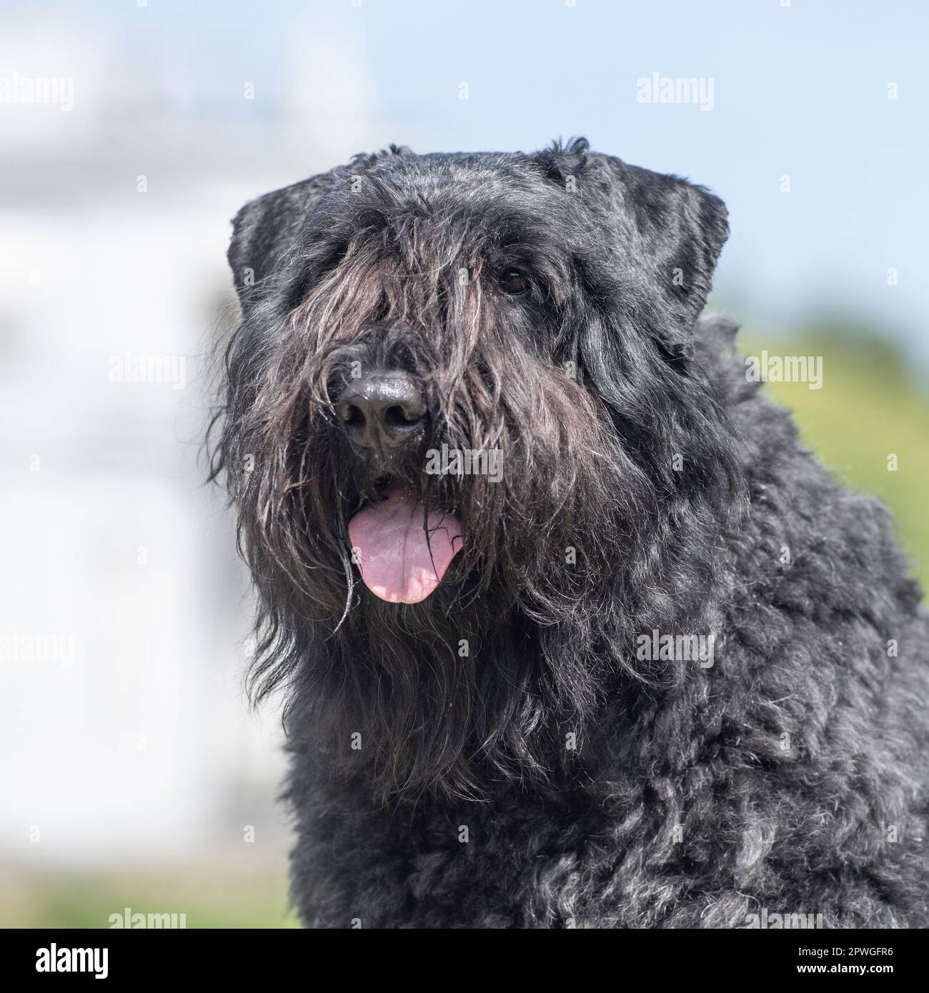 Open space close hi-res stock photography and images - Alamy