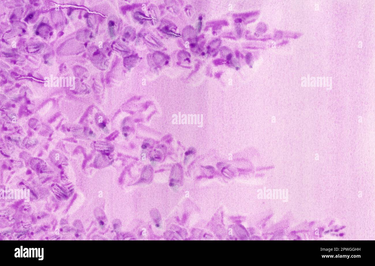 Abstract watercolor horizontal background with spots, splashes, streaks ...
