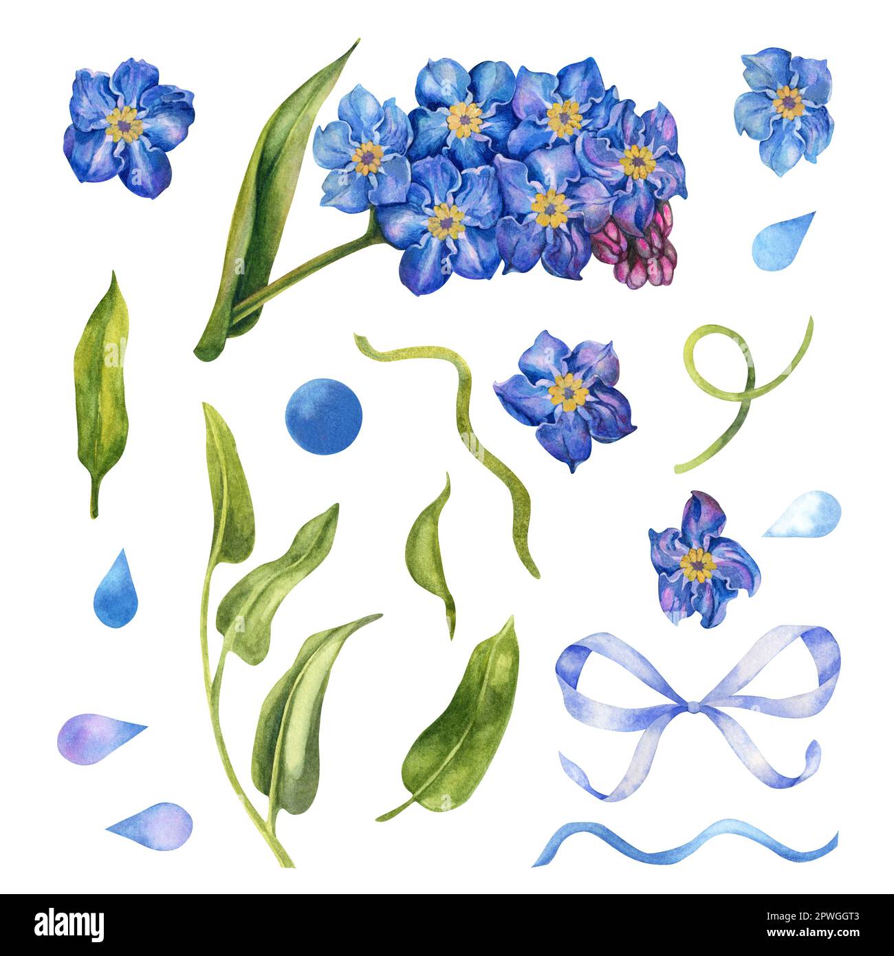 Forget Me Not Flower Tattoo Watercolor