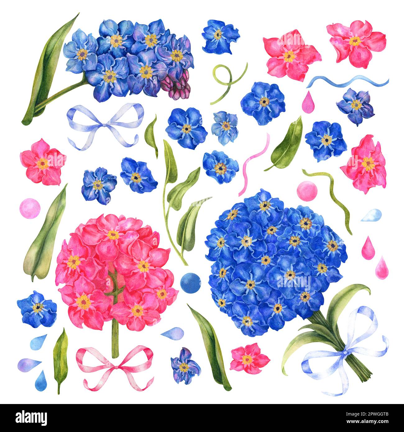 Forget me nots drawing hi-res stock photography and images - Alamy