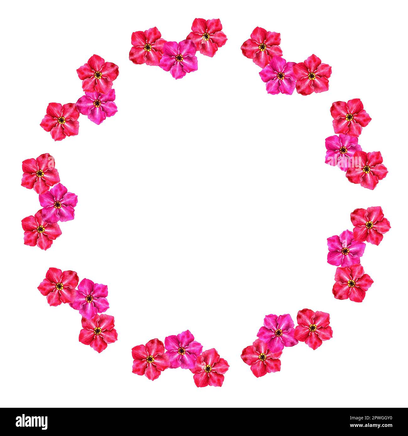 Floral background forget Cut Out Stock Images & Pictures - Alamy