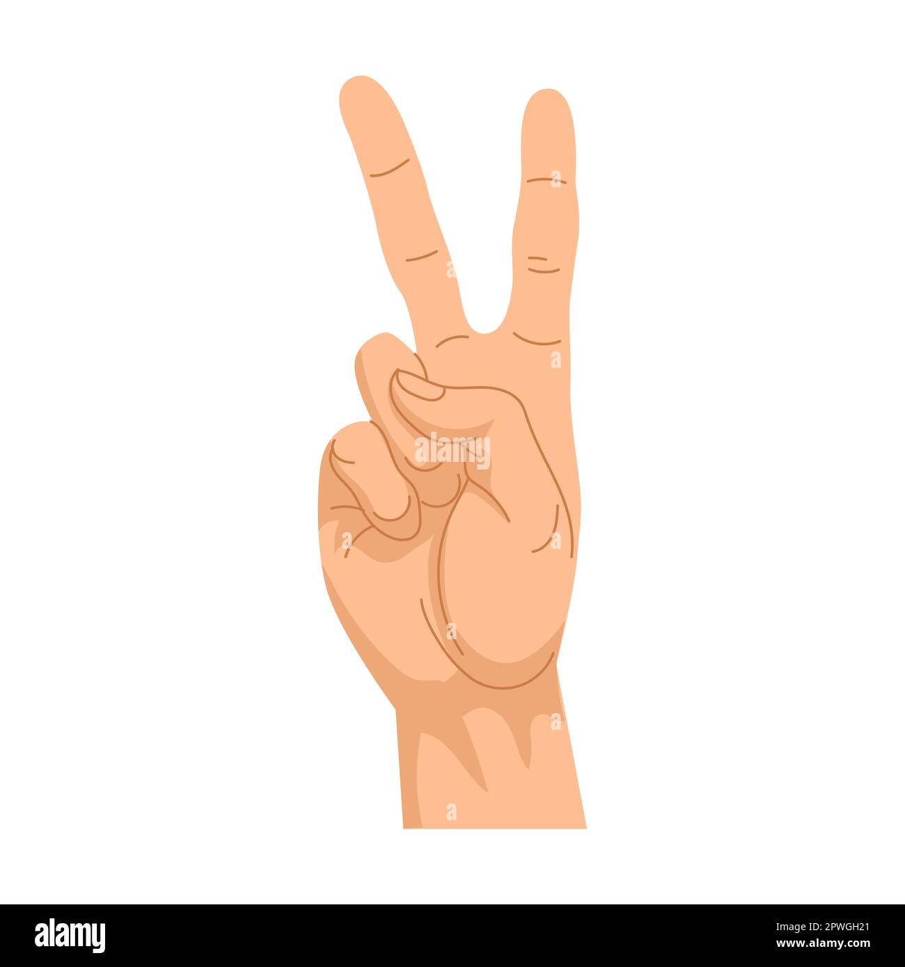 Hand gestures number 2, two fingers up. Vector illustration of human palm showing numbers ...