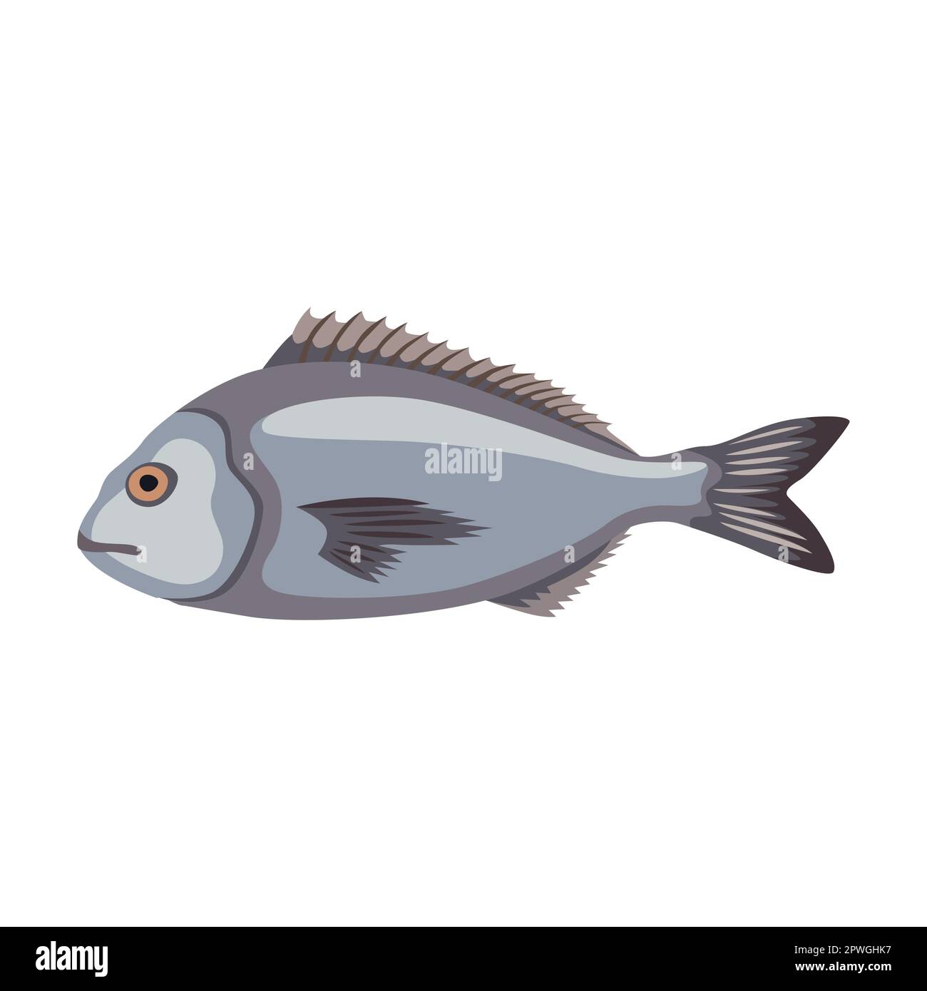 Seafood or marine fish cartoon illustration. Crab, lobster, oyster ...