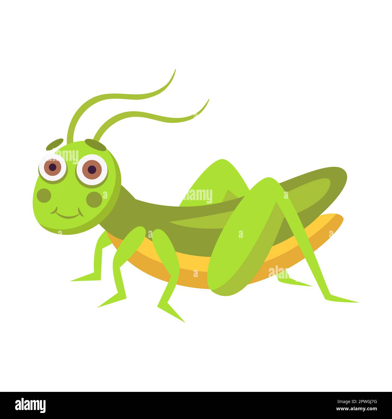 Green slender grasshopper. Cute cartoon insect. Vector illustration of ...