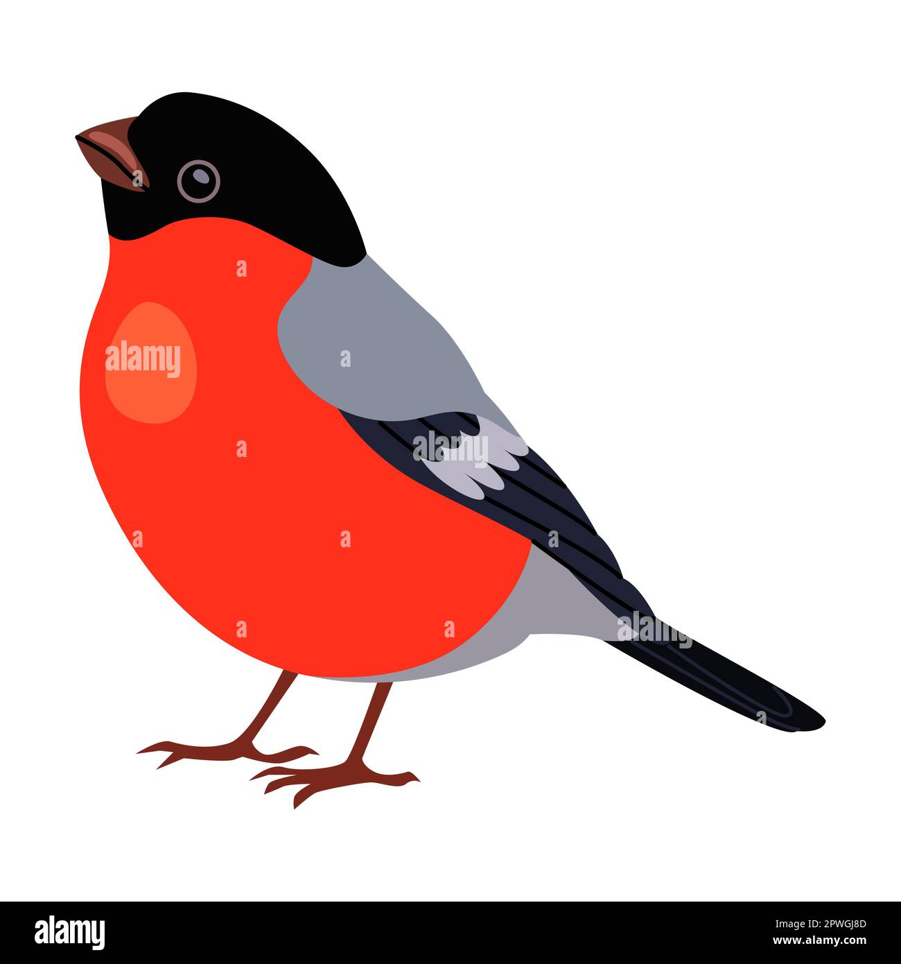 Red Breasted Bullfinch Bird Cartoon Illustration Tomtit Robin Starling Woodpecker And