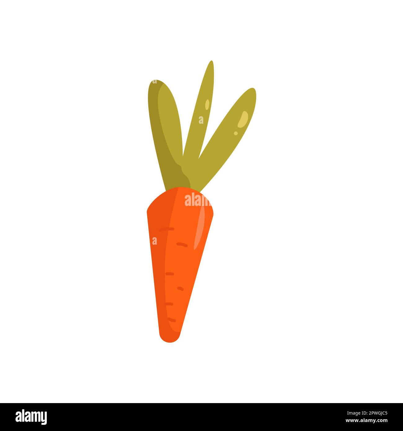 Carrot vector illustration Stock Vector Image & Art - Alamy