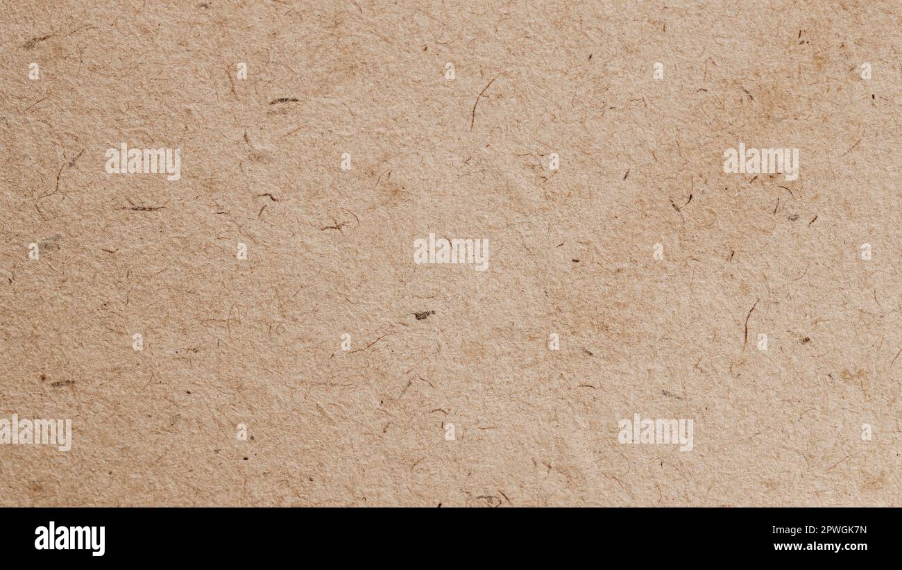 Organic Paper Background