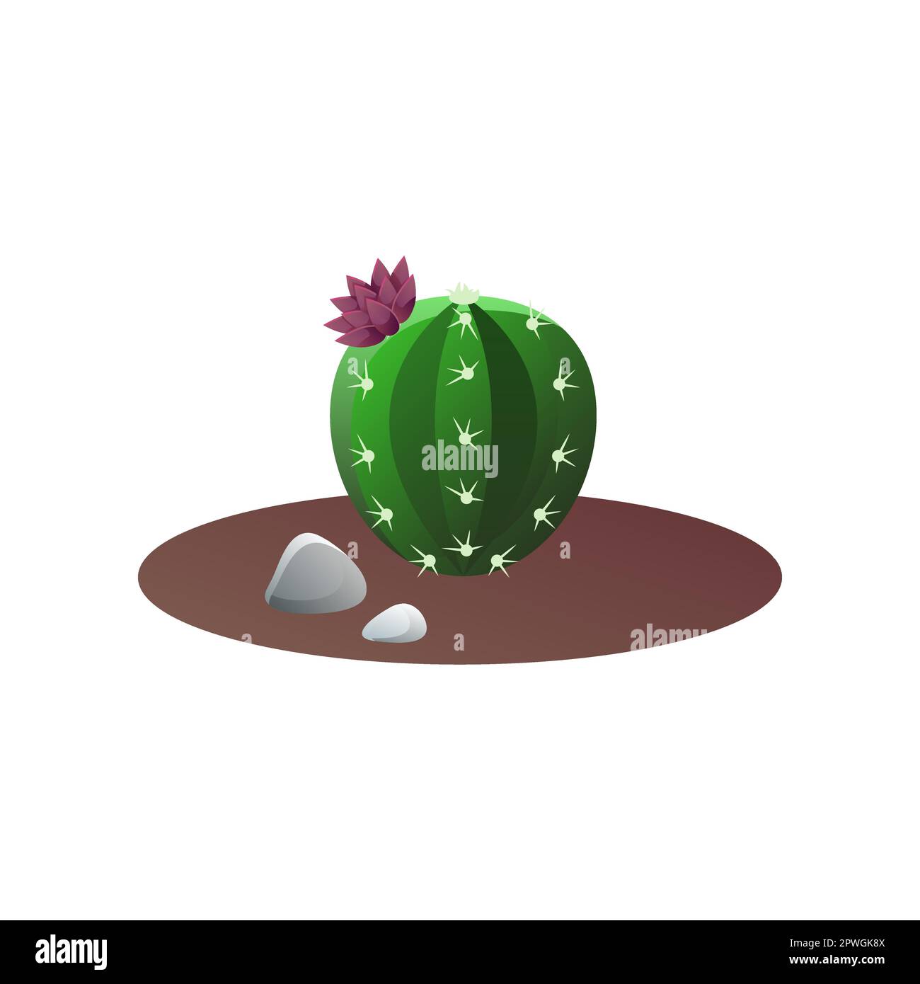 Terrarium ground Stock Vector Images - Alamy