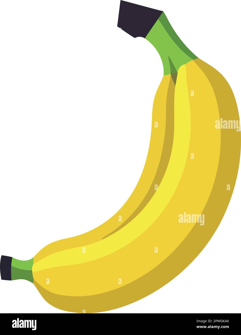 Fresh organic banana, symbol of healthy eating Stock Vector Image & Art ...