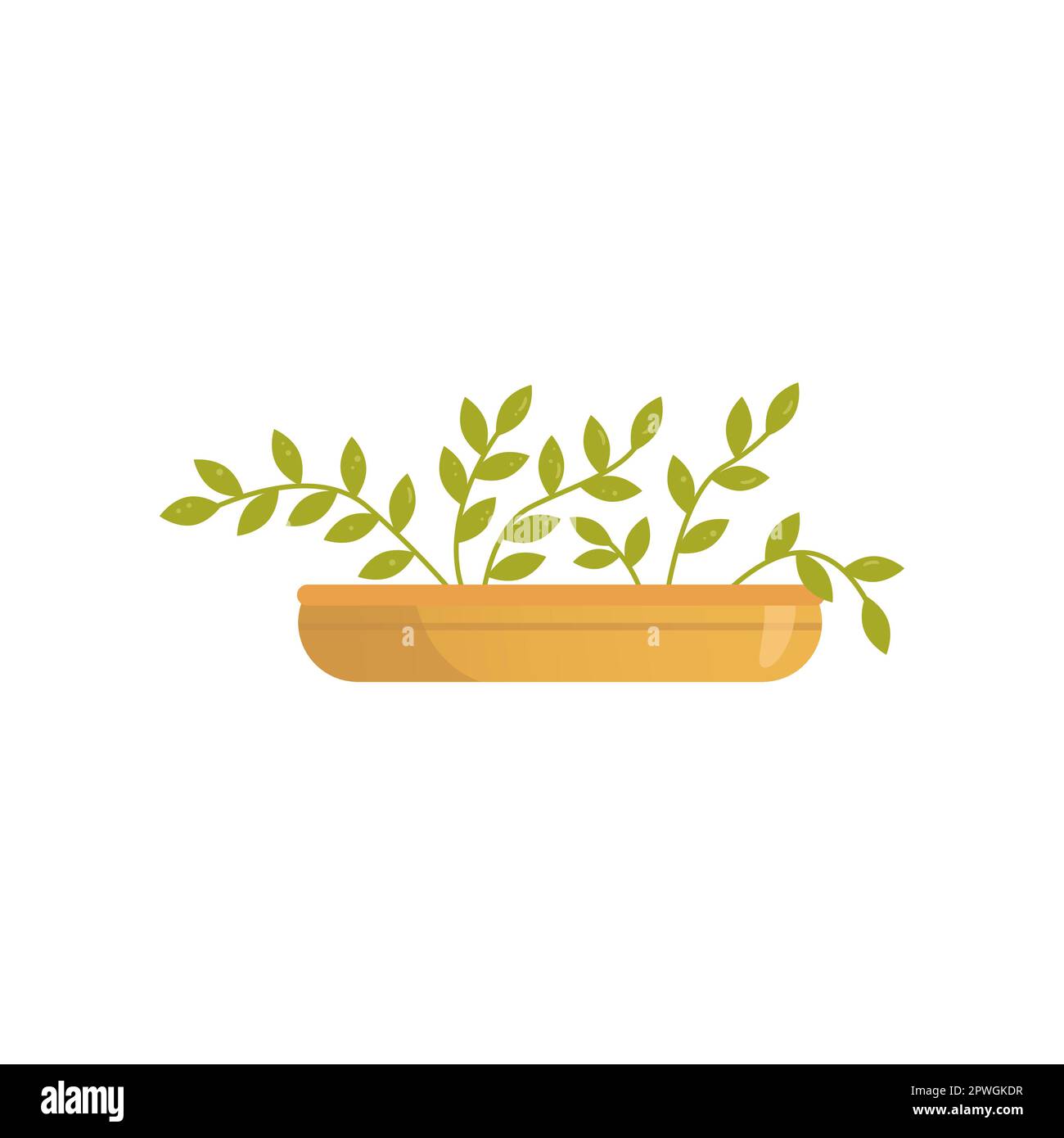 Yellow long pot with plant vector illustration Stock Vector Image & Art ...