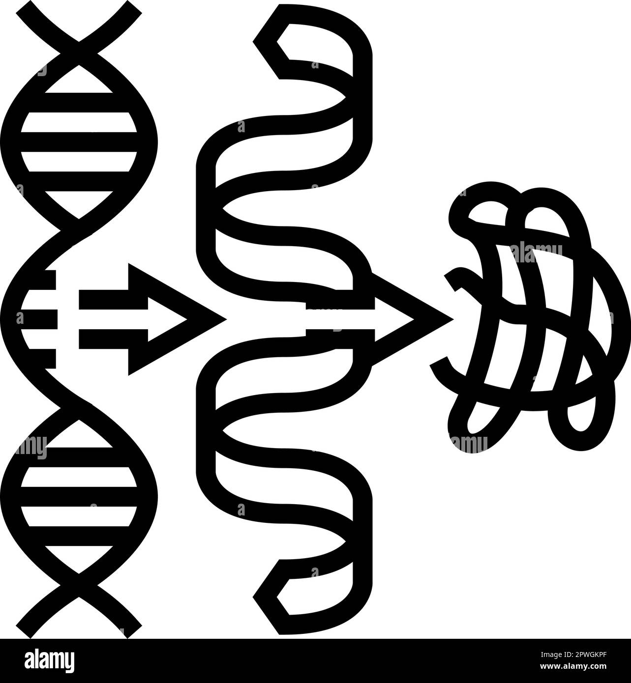 Biosynthesis Stock Vector Images - Alamy