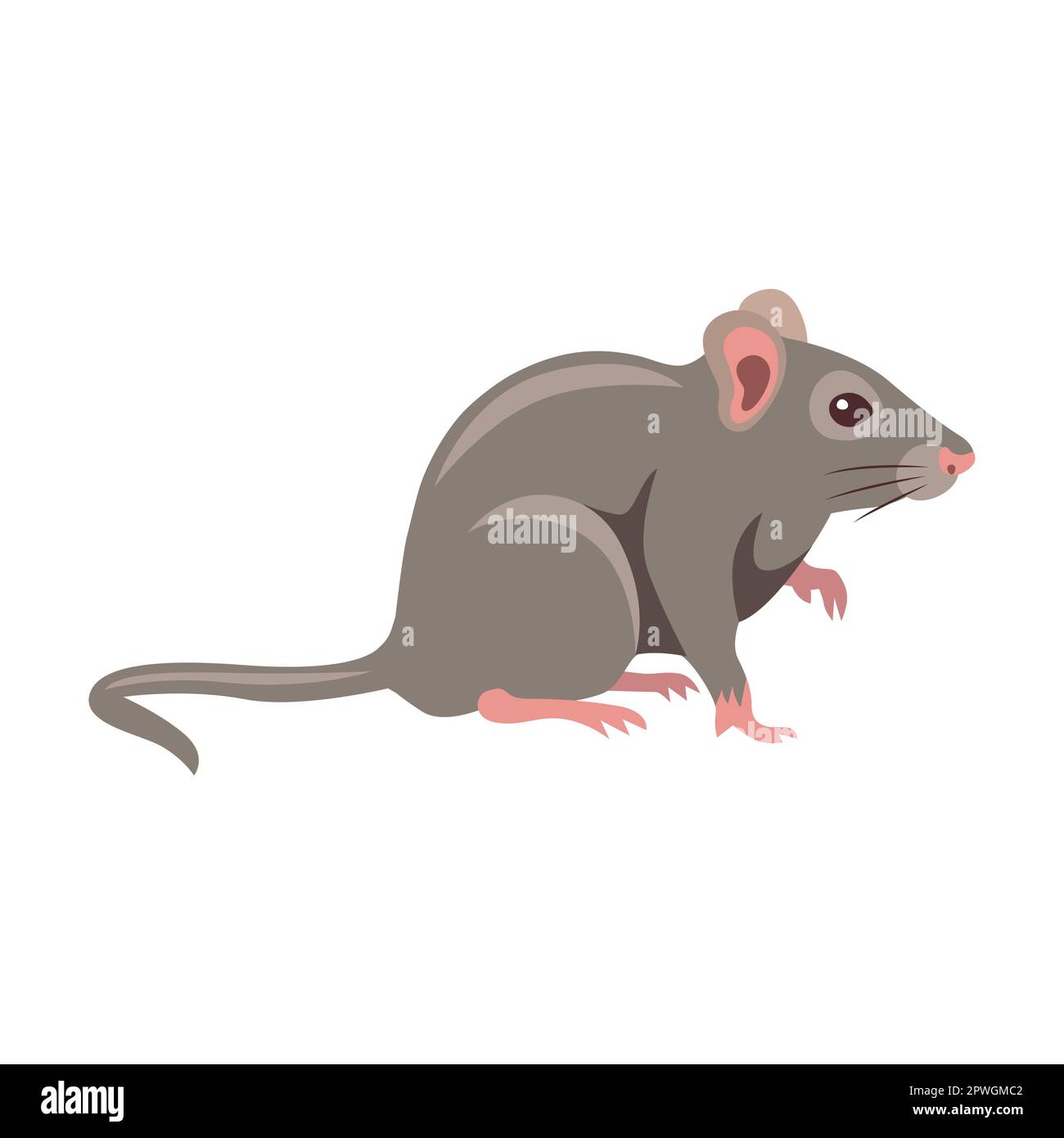Rat cartoon illustration. Little house mice or rat character with long ...