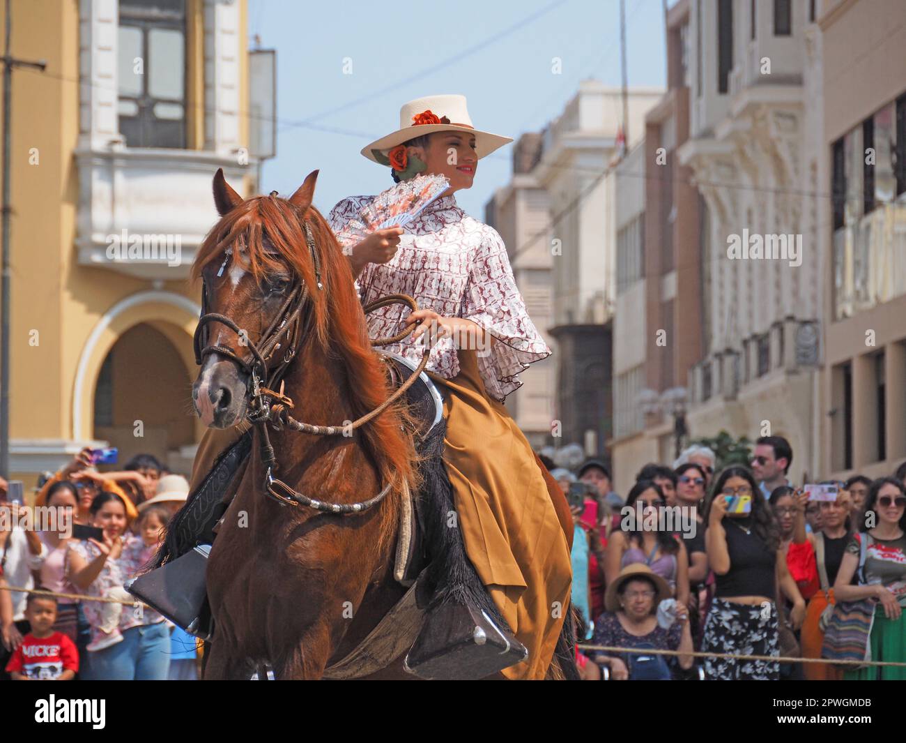 Lima, Peru. 30th Apr, 2023. Creole woman riding Peruvian Paso horses ...