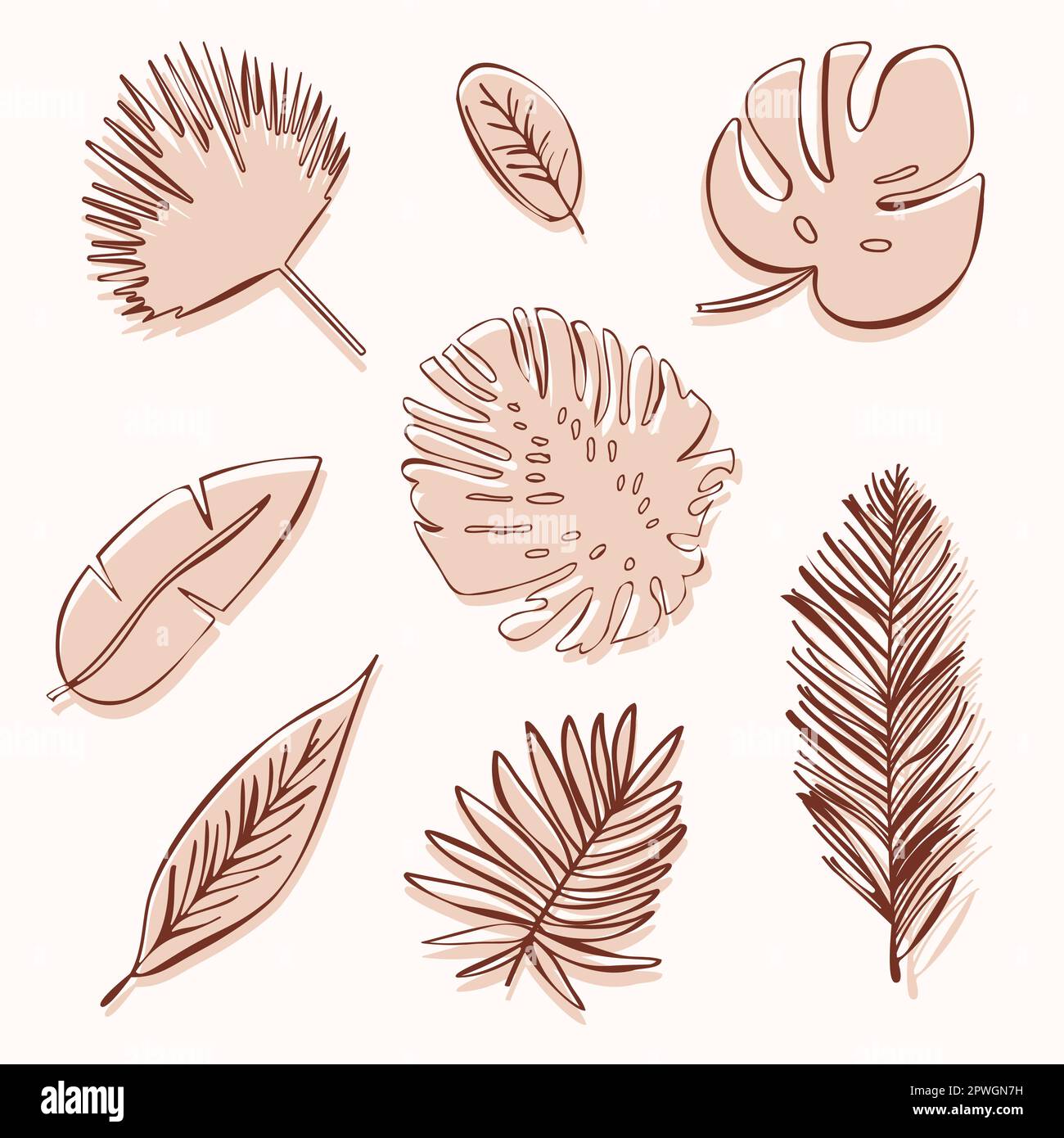 Tropical leaves in doodle style.Beige line vector design elements,hand ...