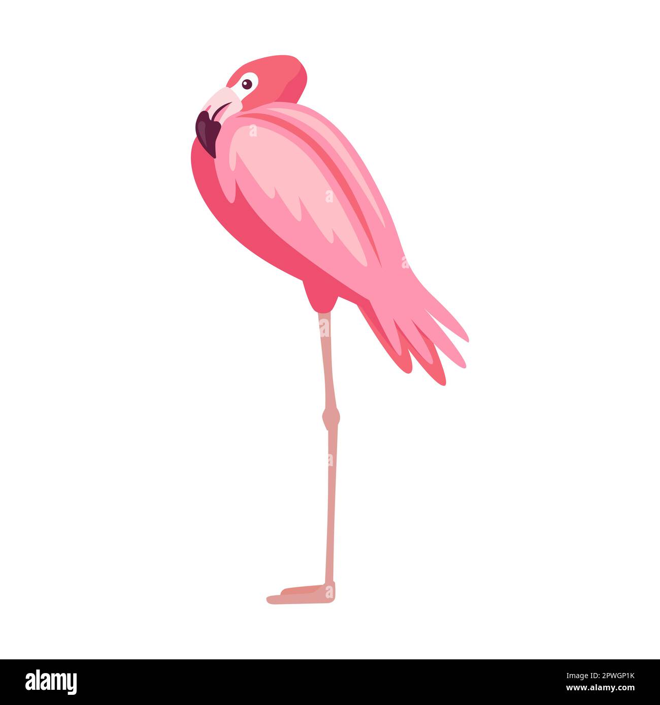 Flamingo cartoon illustration. Beautiful pink bird standing on one leg ...