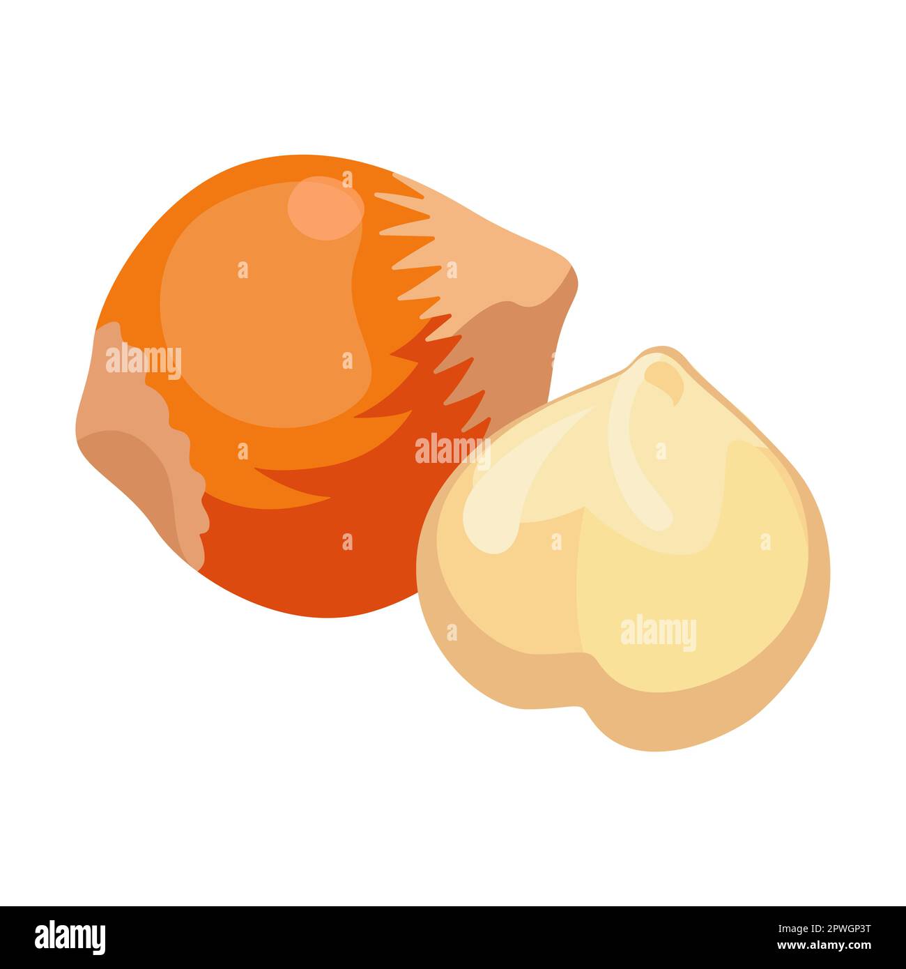 Nuts of hazelnut vector illustration. Almond, hazelnut, pistachio ...