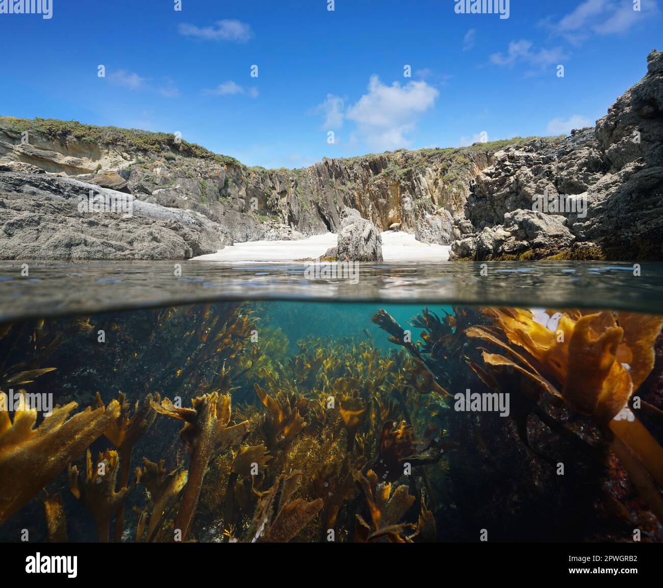 Wild sandy beach on rocky coast with seaweed underwater in the Atlantic ...