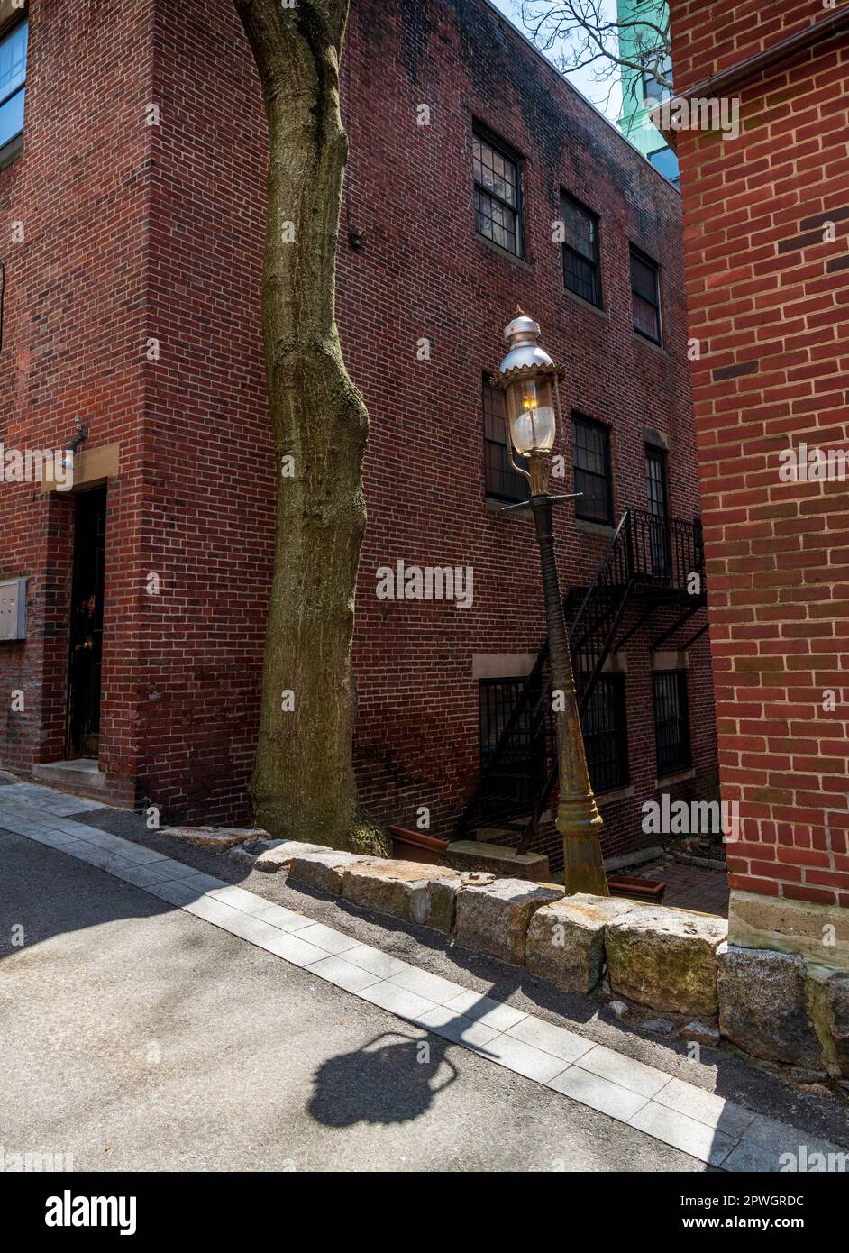 Cast iron streetlight and a tree standing between brick building walls ...