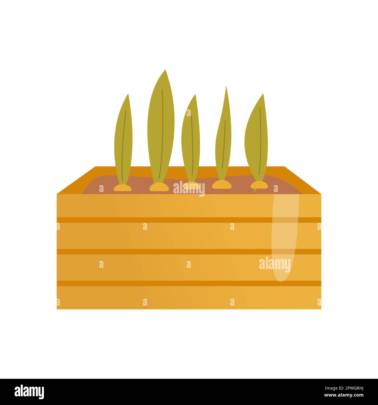 Rectangular pot with grown carrots vector illustration Stock Vector ...