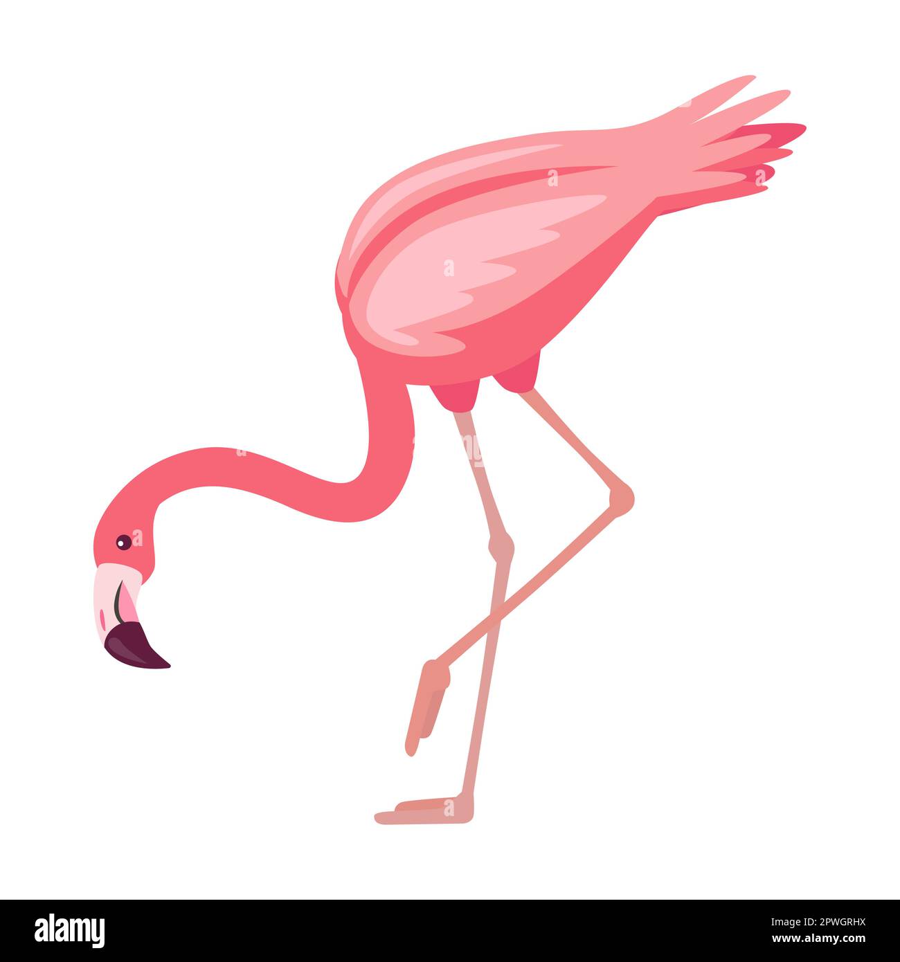 Flamingo looking for food cartoon illustration. Beautiful pink bird ...